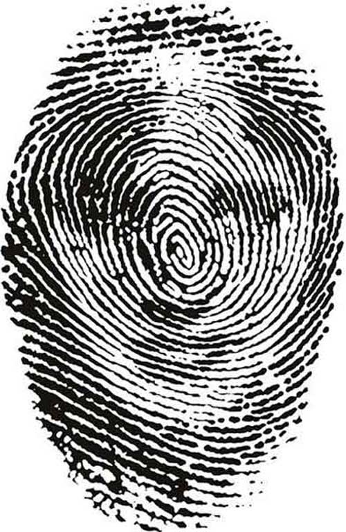 25 Fun and Creative Fingerprint Art Pieces