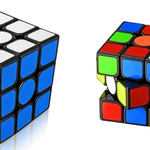 10 Rubik's Cube Type Puzzles 9 - Walyou